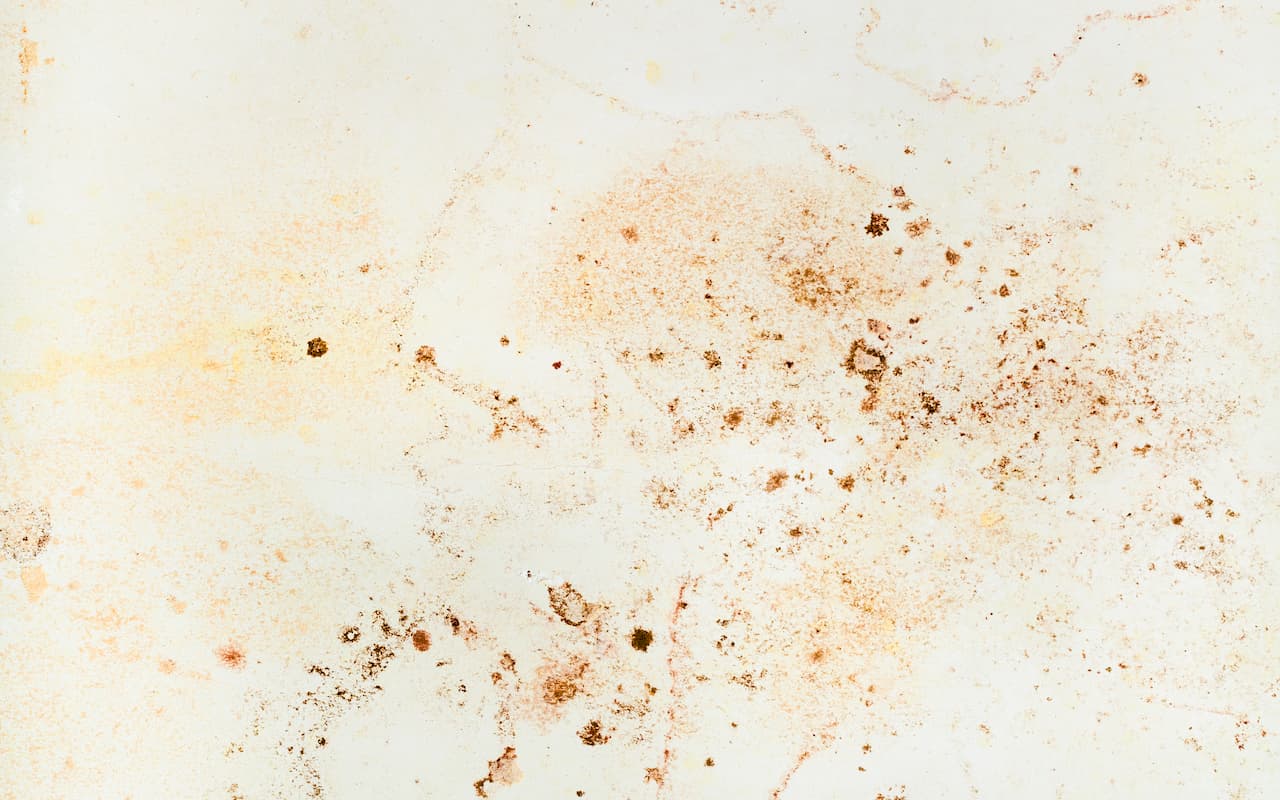 wall_mold Object Detection Dataset by classification