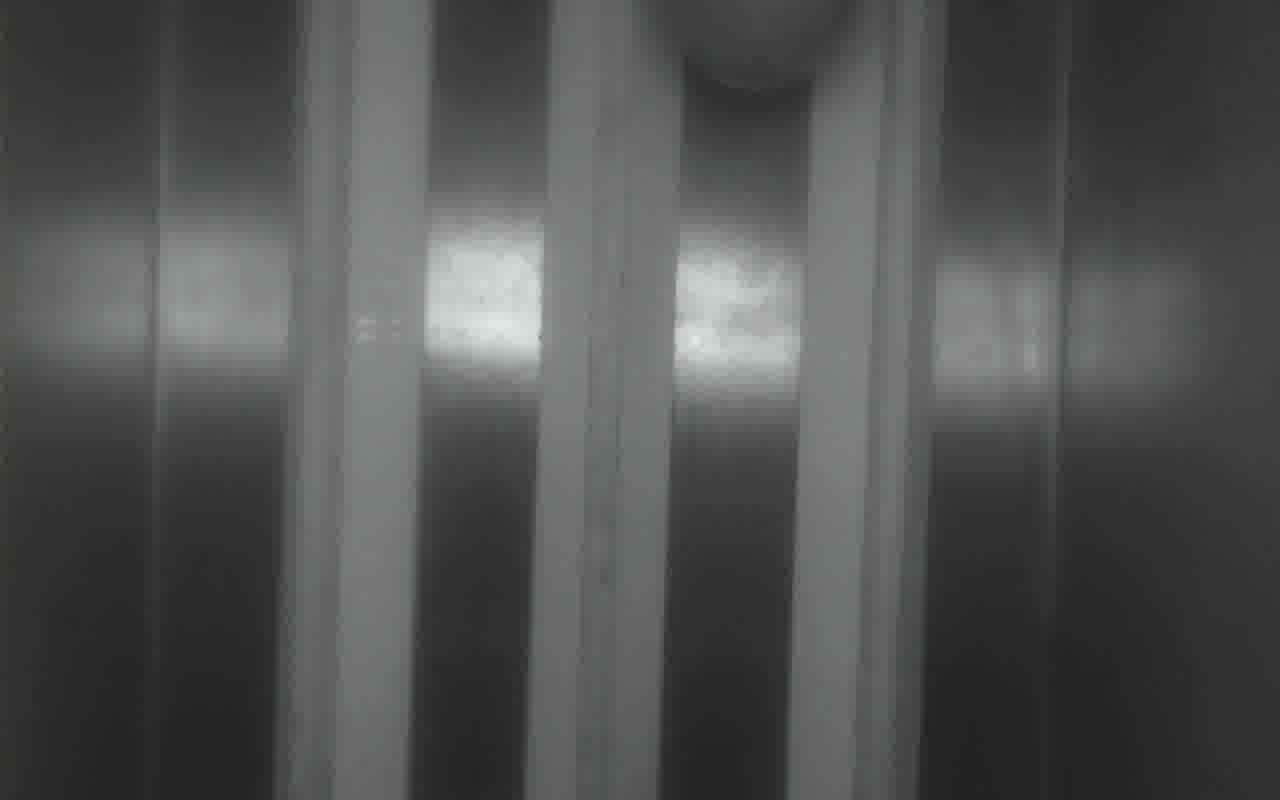 20_30_real Object Detection Model by parte4caucha