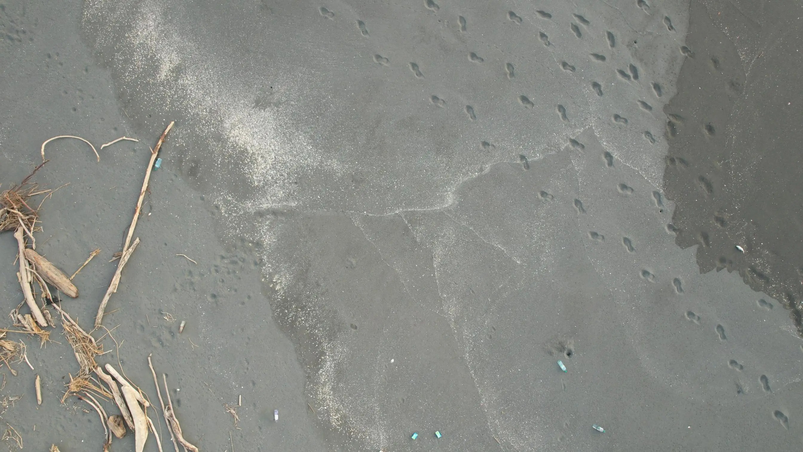 final Object Detection Dataset and Pre-Trained Model by National Cheng Kung University