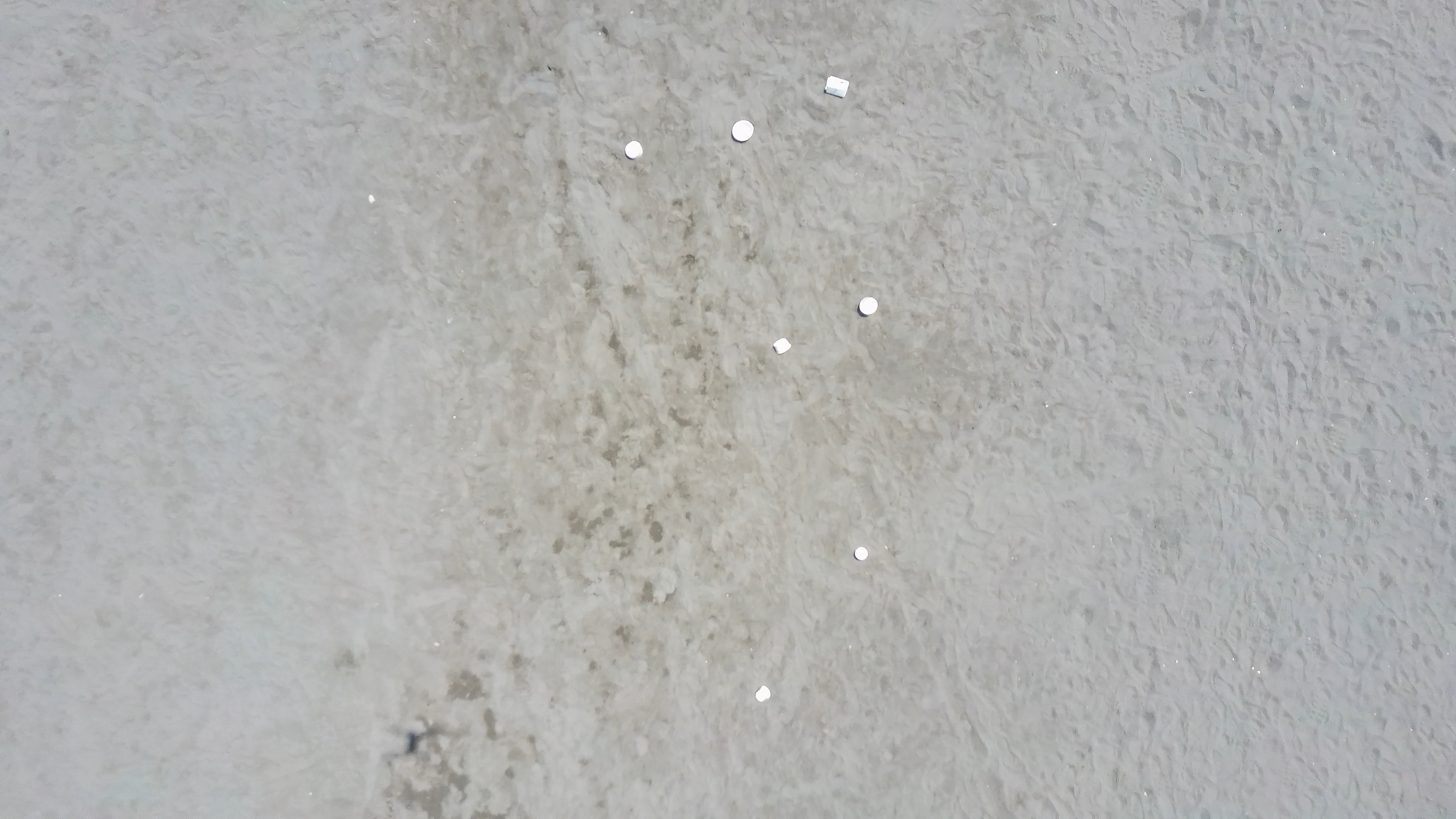 take away containers Object Detection Dataset and Pre-Trained Model by National Cheng Kung ...