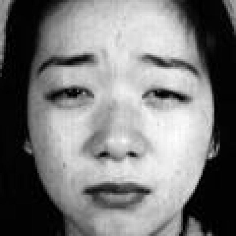 Facial Emotion Detection Classification Model By Firstworkspace