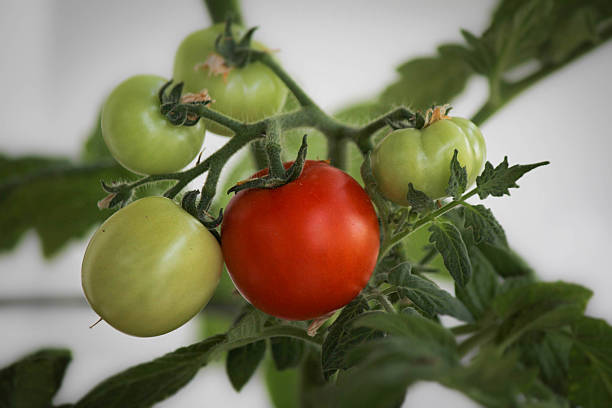 yolo-v5-1023-images Object Detection Dataset by new-workspace-zs7yy