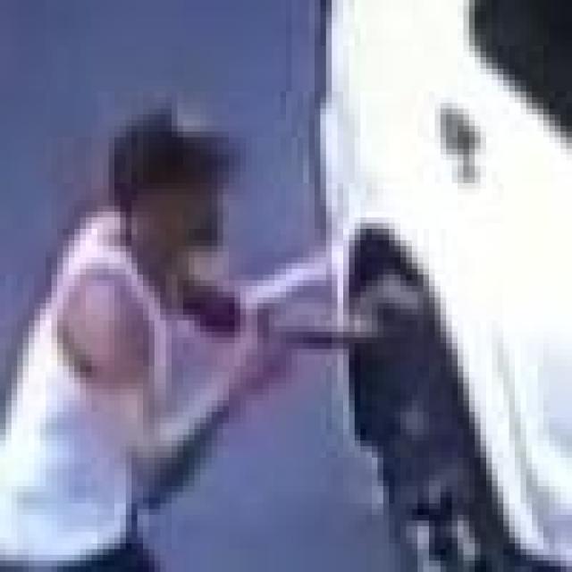 seg 3 Instance Segmentation Dataset by drone