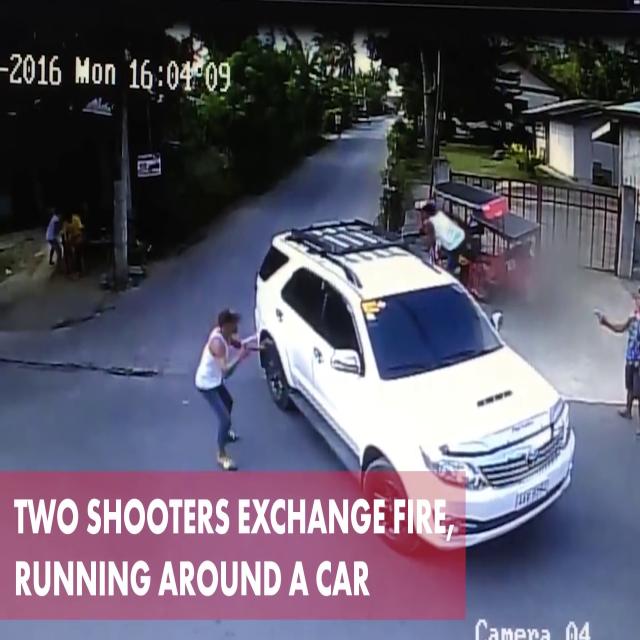 guns Instance Segmentation Dataset by drone