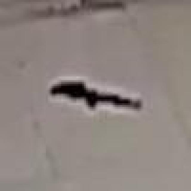 seg 1 Instance Segmentation Dataset by drone