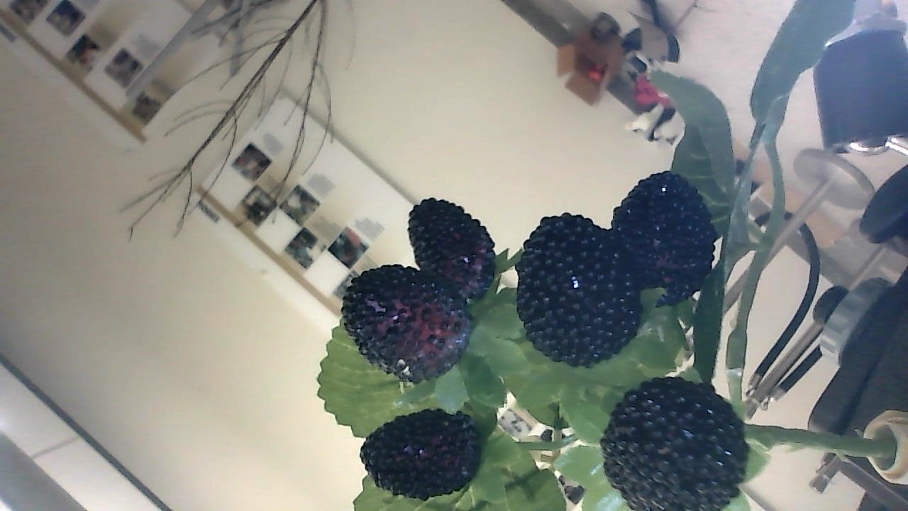 Raspberry Detection Object Detection Dataset And Pre Trained Model By