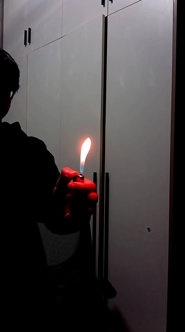 fire Object Detection Dataset by XinyuSama