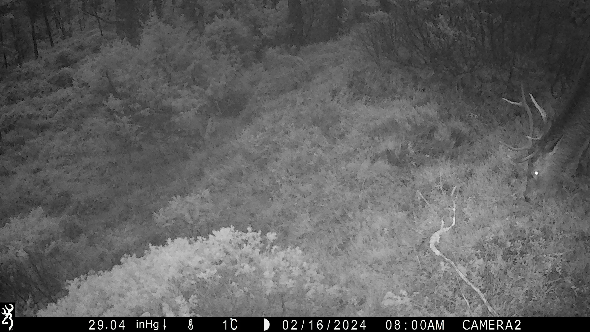 YOLOv7 Custom Object Detection Dataset by YOLOv7