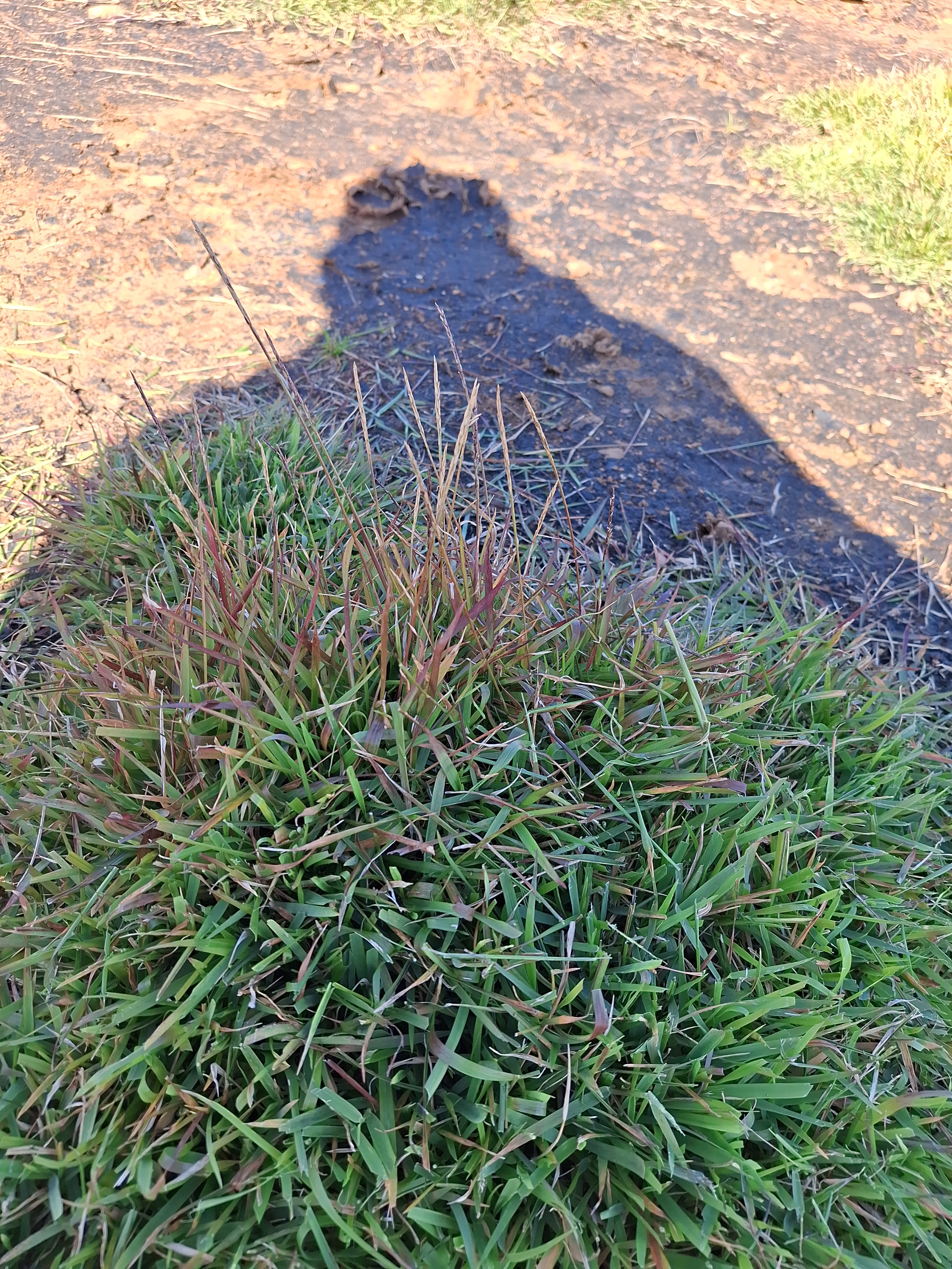 Field Object Detection Dataset by TurfGrass