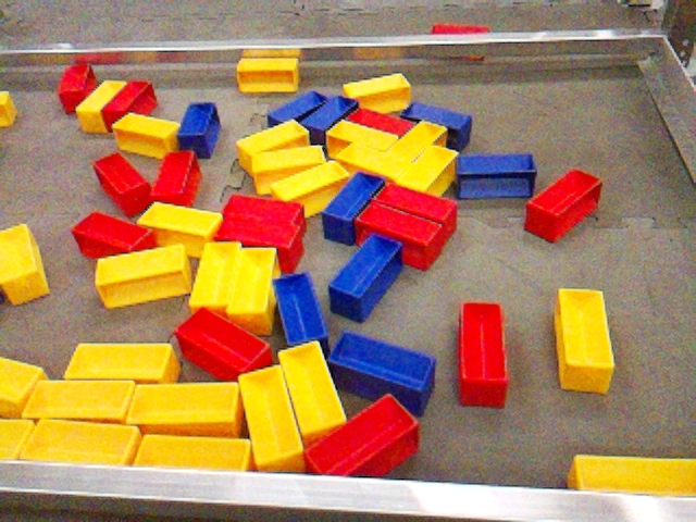 20242025 MSET Cuttlefish Sample Detection - Roboflow Universe