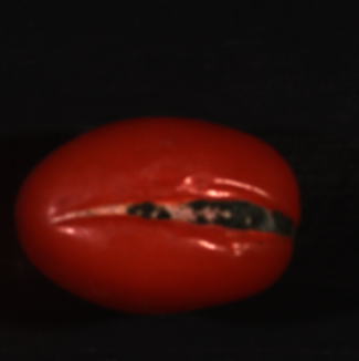 tomato Object Detection Dataset by lu