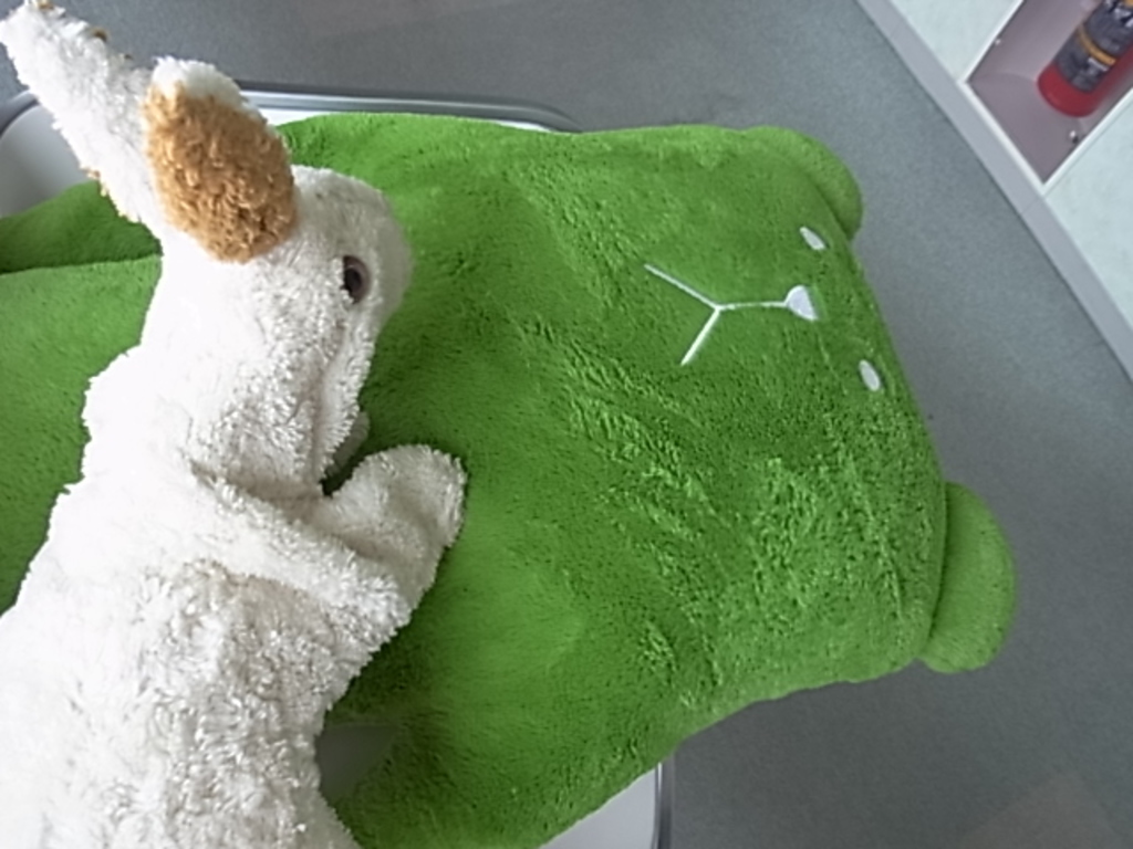 classify animal Object Detection Dataset and Pre-Trained Model by ...