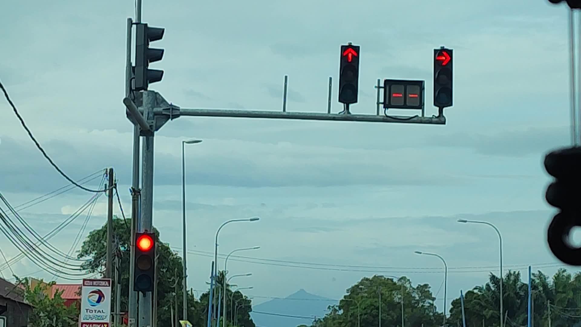 traffic lights new Object Detection Dataset by ripo