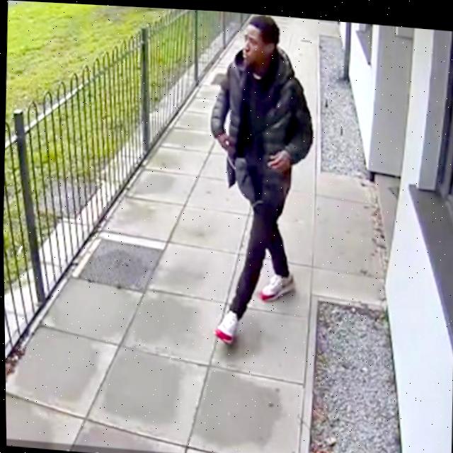 Ehs 2 Object Detection Dataset By Siddharth