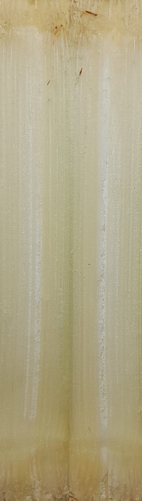 D2-DEMPET-R3 Classification Dataset by MEI13