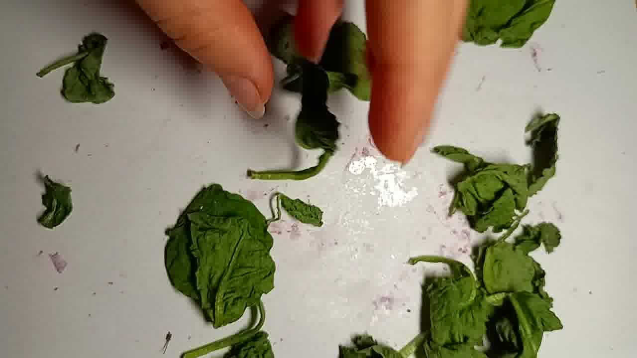 spinach_2 Object Detection Dataset and Pre-Trained Model by University ...