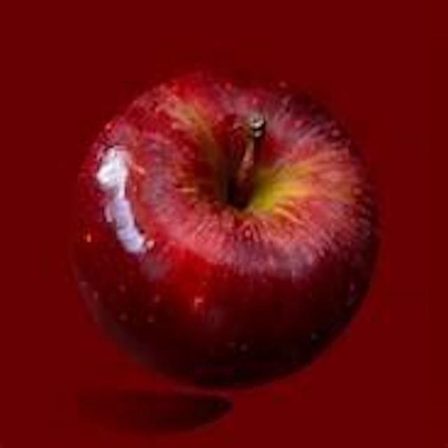Apple Proj Object Detection Dataset And Pre Trained Model By Stanley