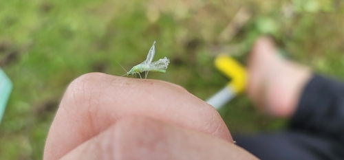 AWaDH IIT Ropar - Roboflow Universe