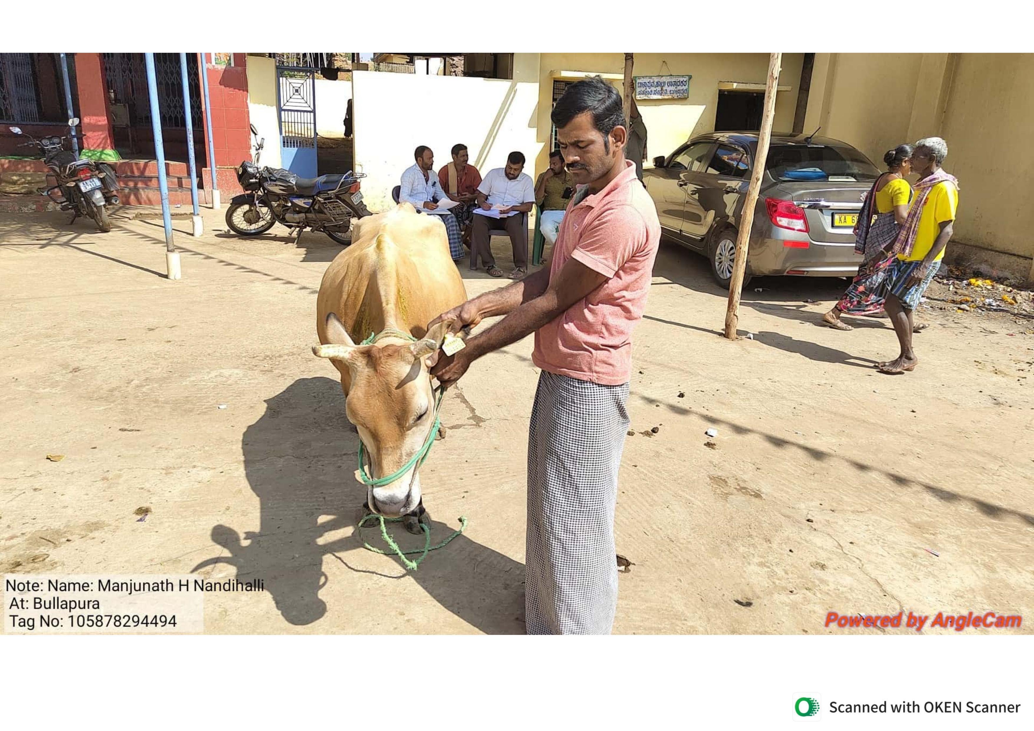 cattlefull Object Detection Dataset by Annotations