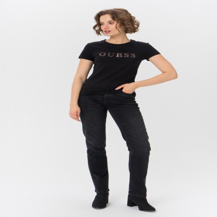 Dress-detection Classification Dataset and Pre-Trained Model by Default