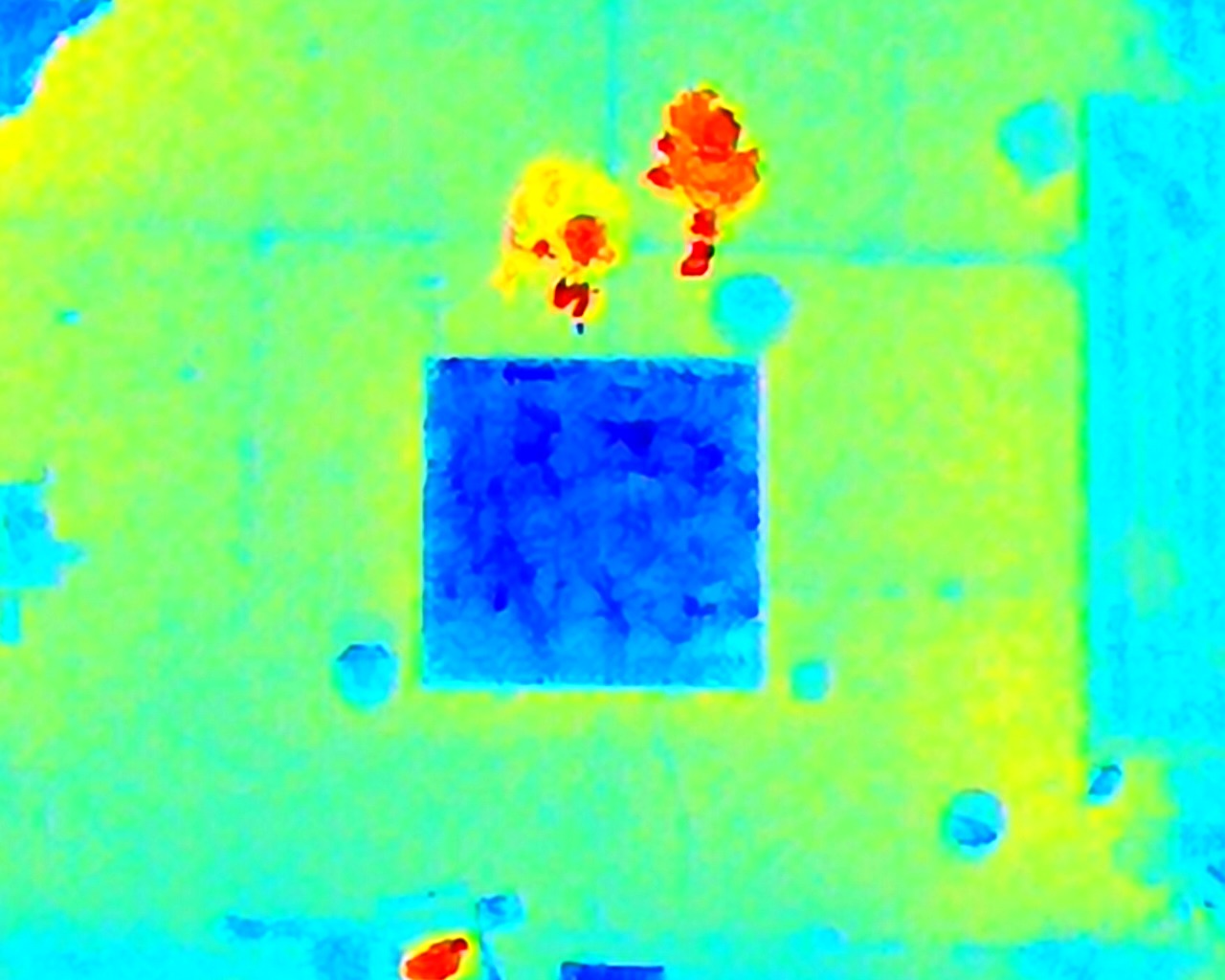 Forest Fire Detection Object Detection Dataset And Pre Trained Model By Samarth Jain