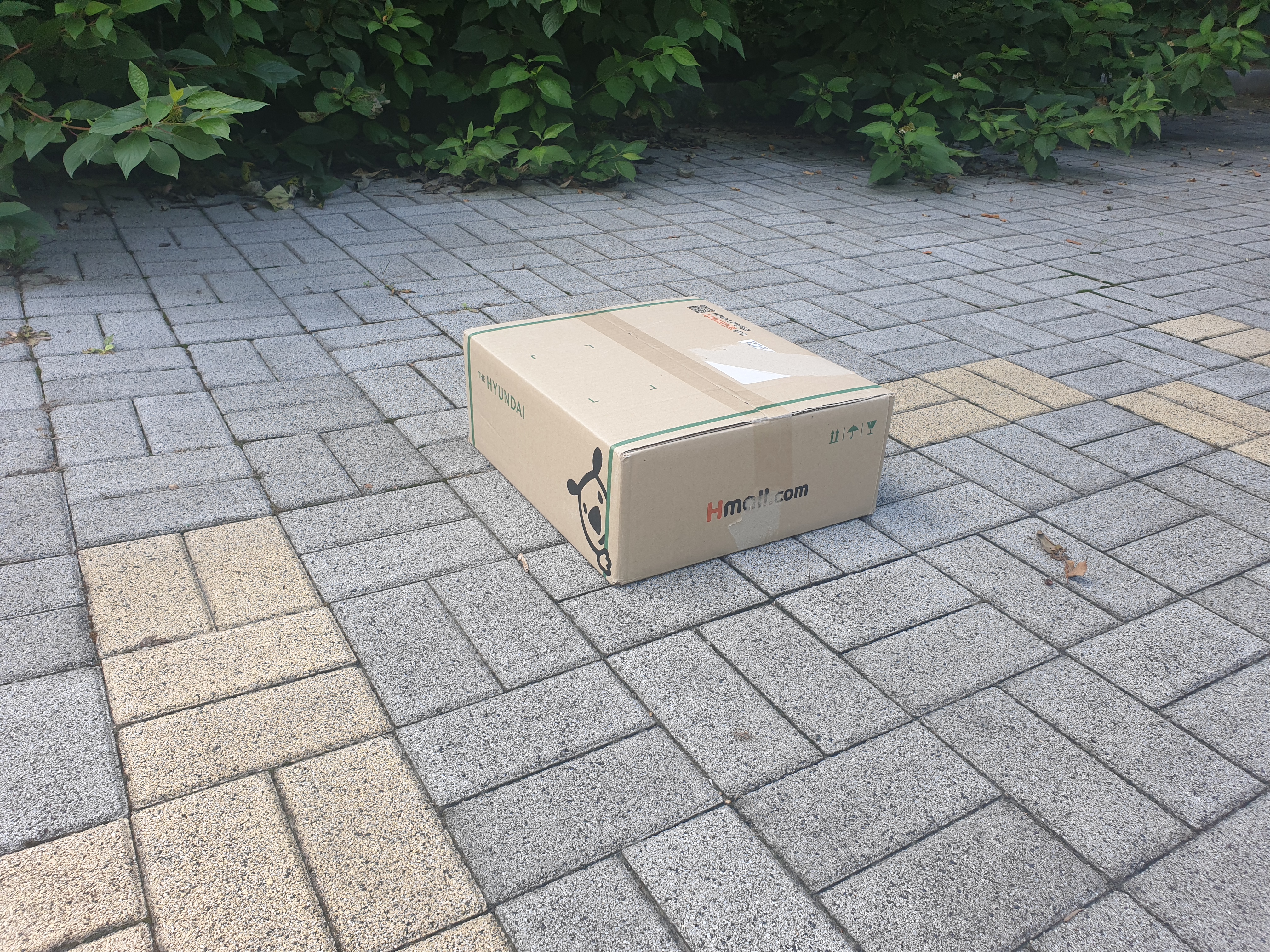 box_detection_3 Object Detection Dataset by project-sschr