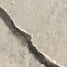 Wall Instance Segmentation Model by Algojaxon