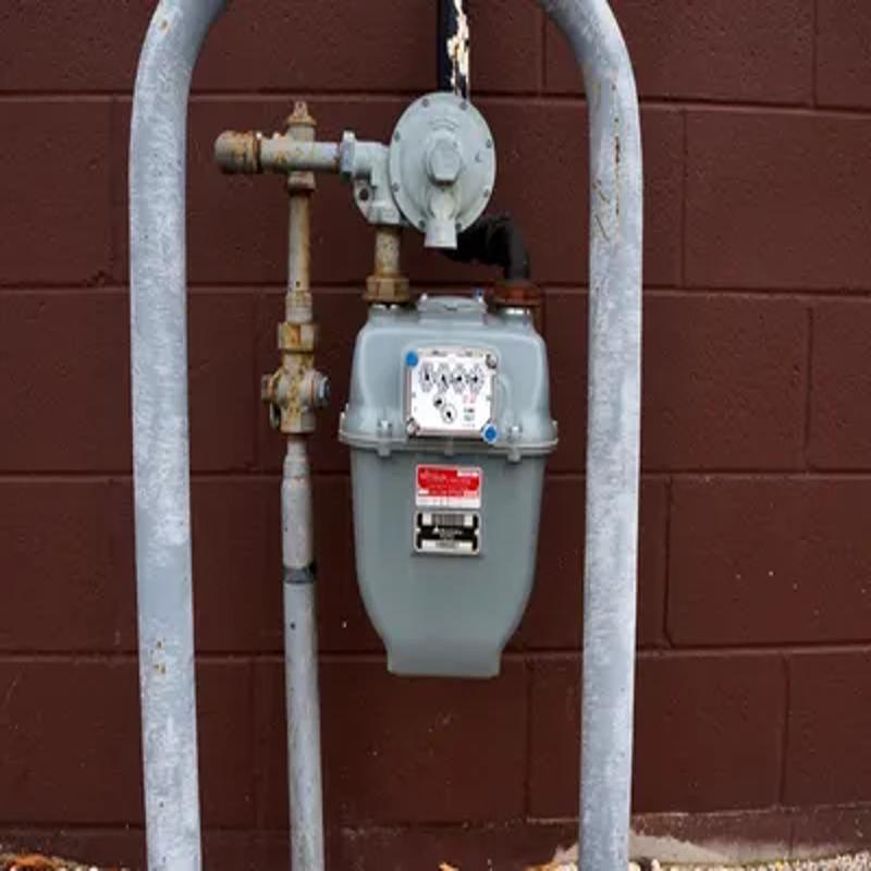 Sample Ds Image Segmentation Instance Segmentation Dataset By Xyz