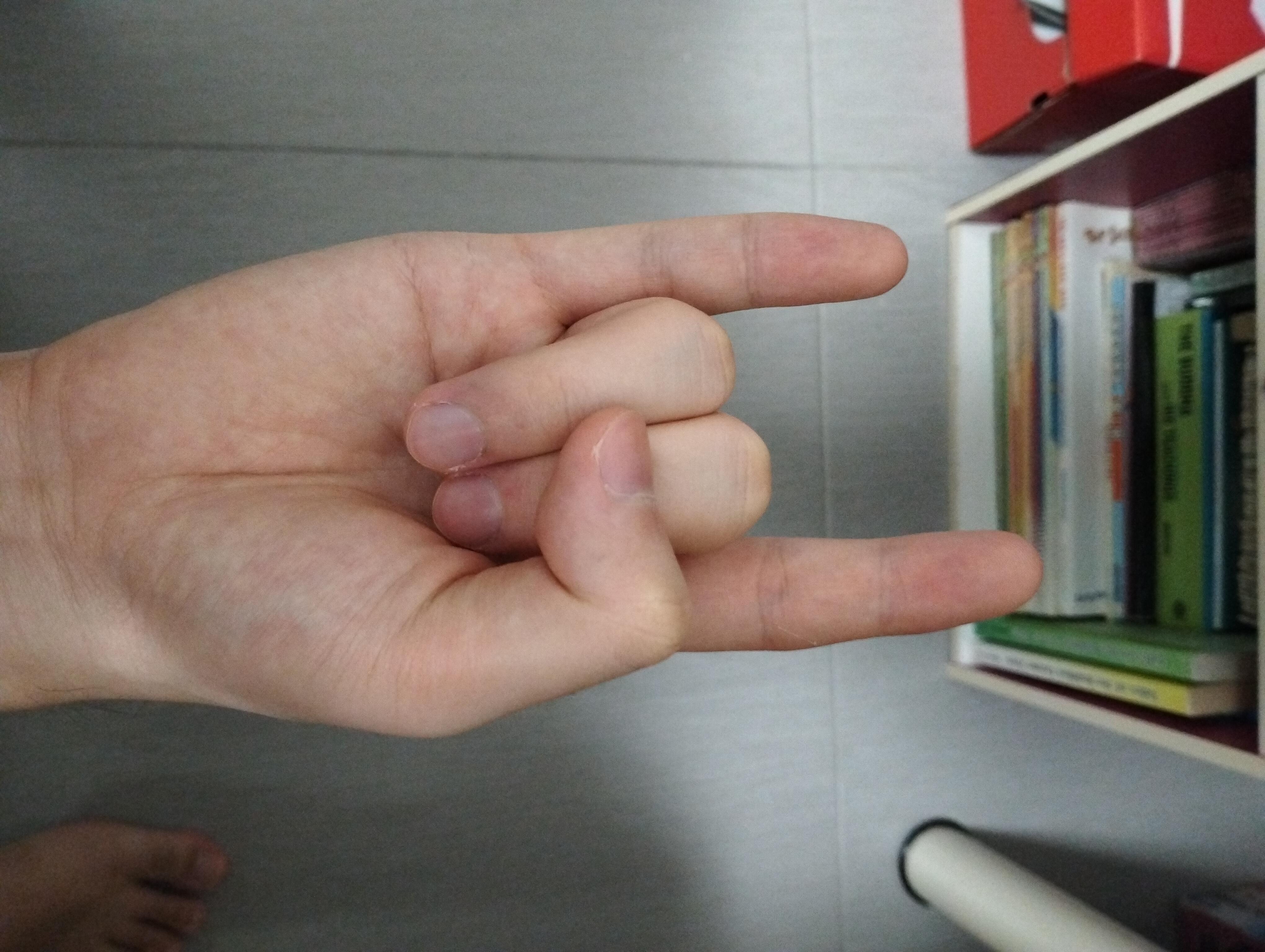 Sign_recognition Object Detection Dataset by Ammar