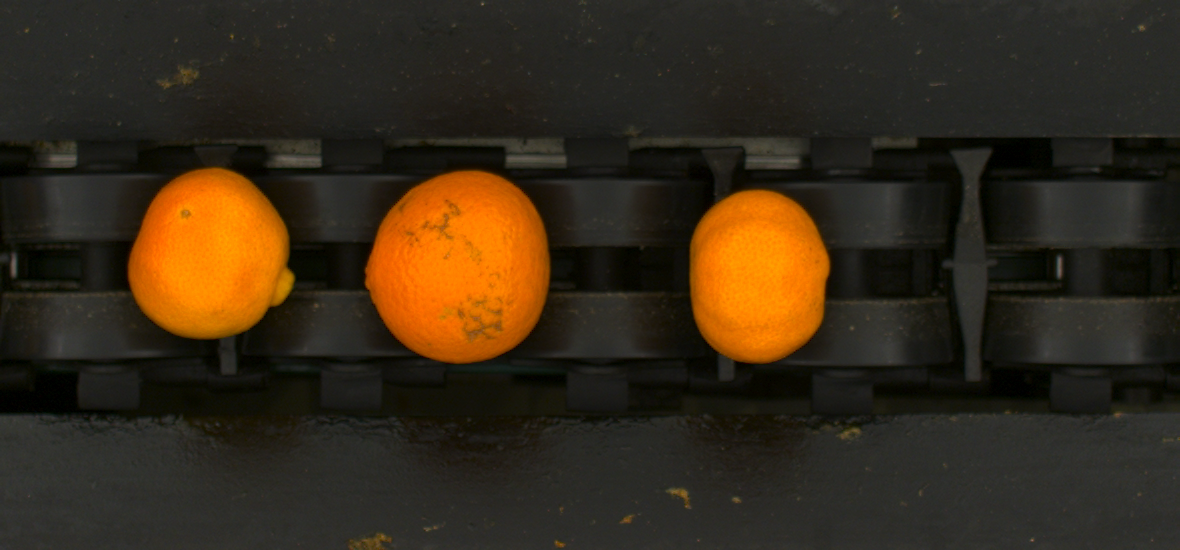 Top Manda Datasets and Models | Roboflow Universe