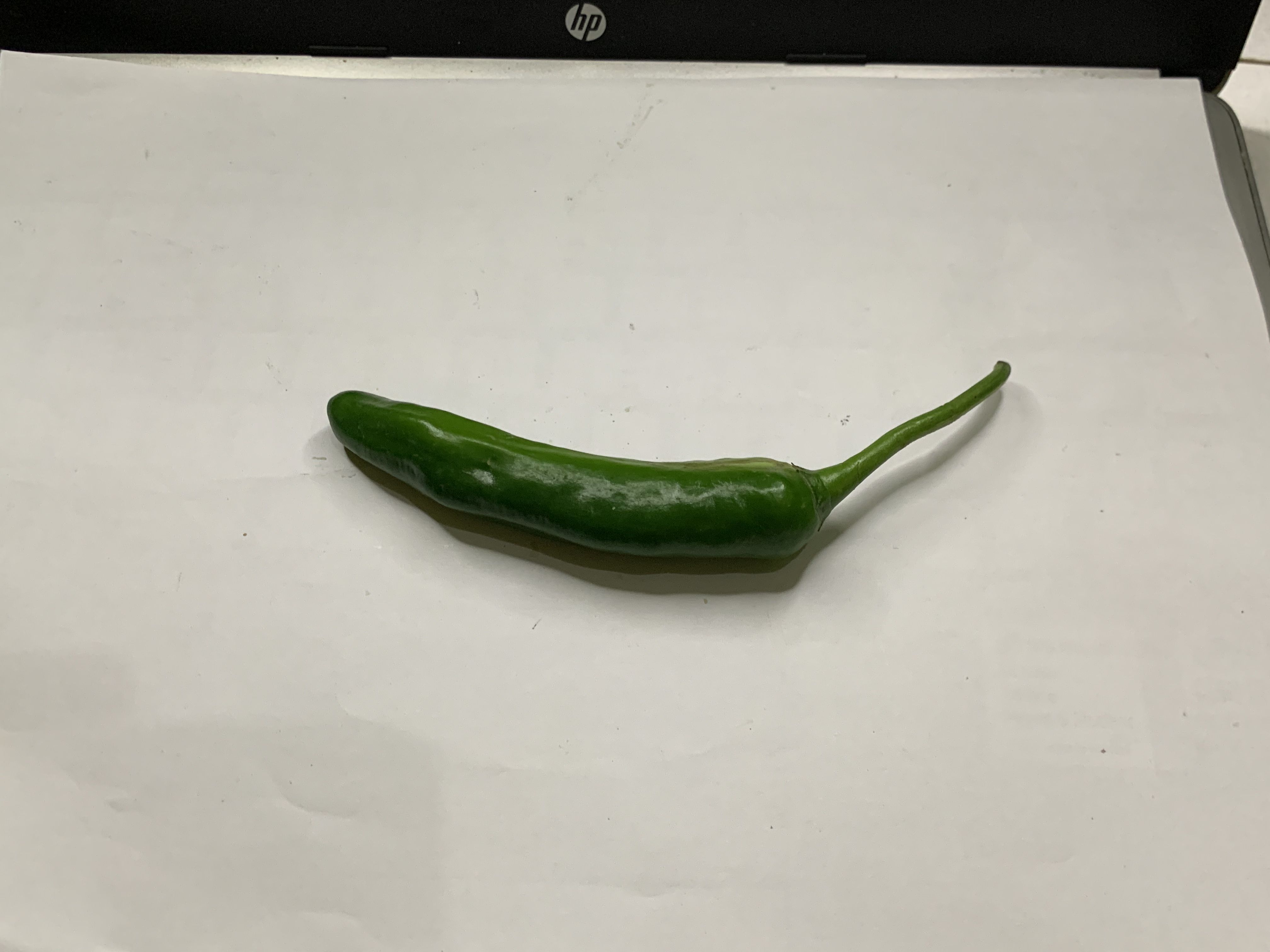 cabai besar hijau Instance Segmentation Dataset by hanifta