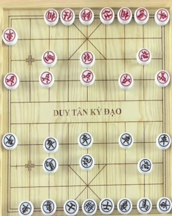 board seg Instance Segmentation Model by tesst