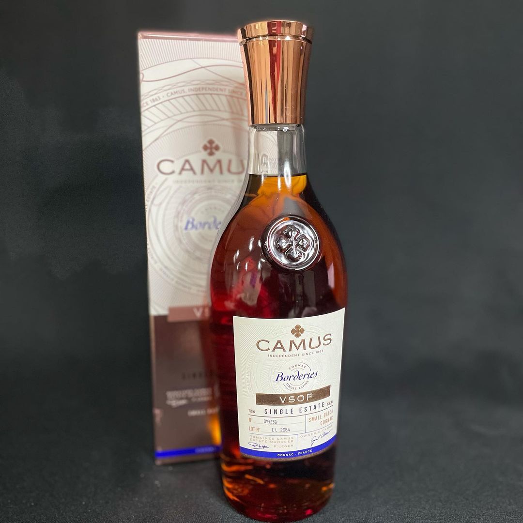 camus_vsop Object Detection Dataset by loppy