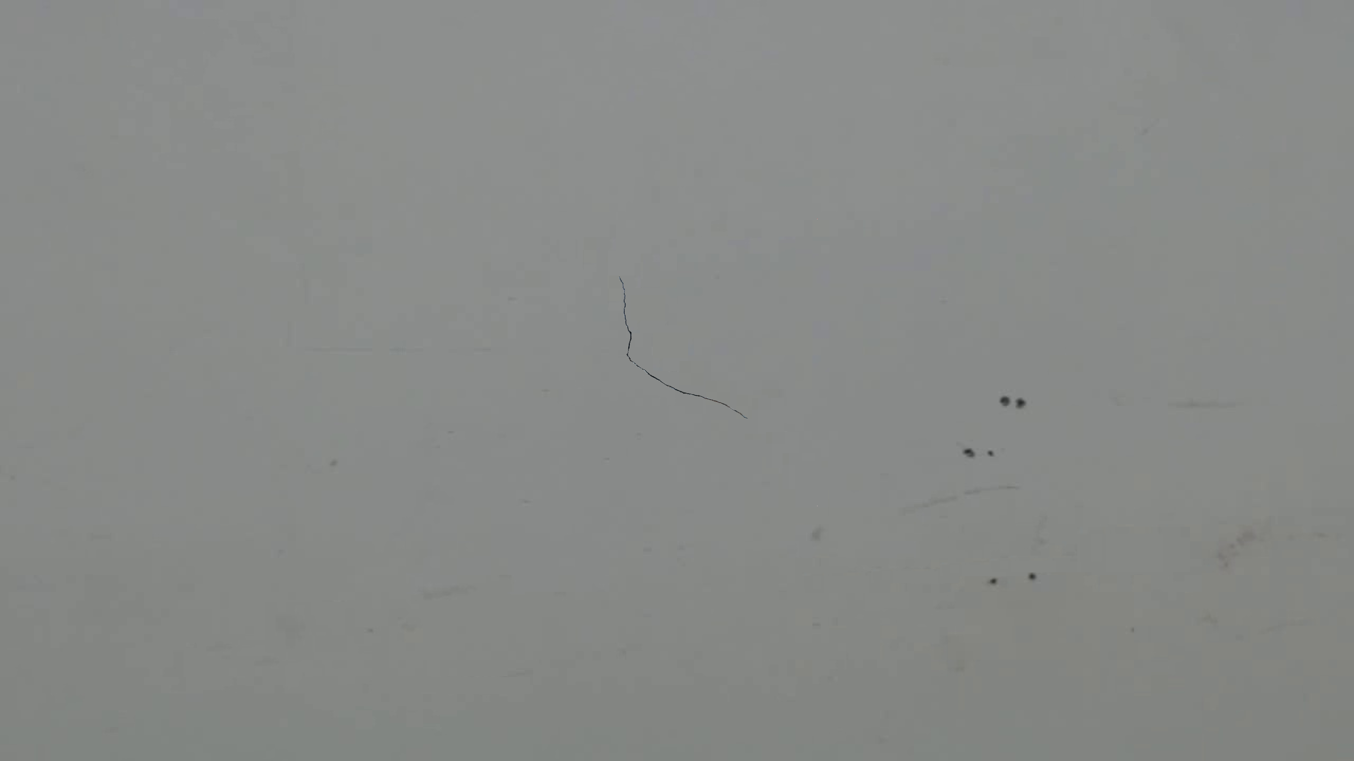 crack_60 Object Detection Dataset by ohs