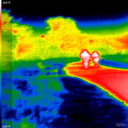 Thermal Image Recognition Object Detection Dataset and Pre-Trained ...