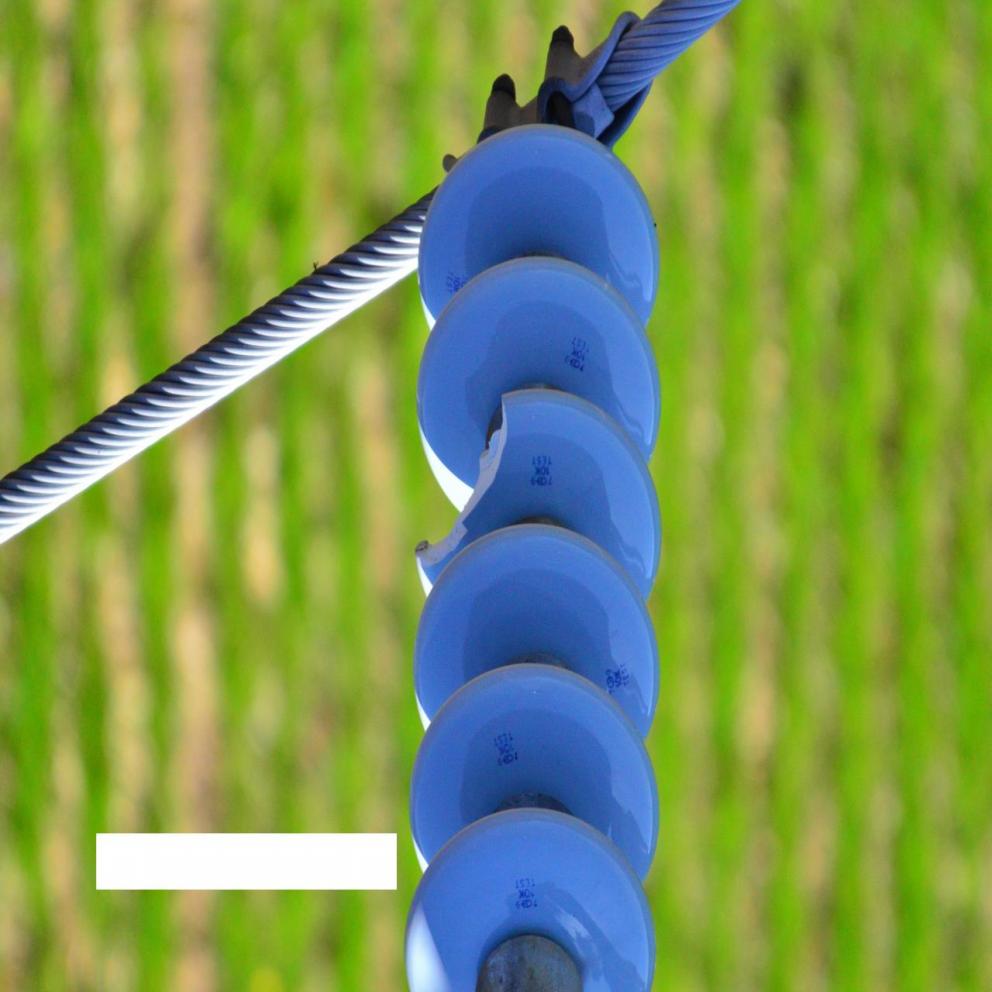 bolt-damage-detection Object Detection Dataset and Pre-Trained Model by DRONE AI