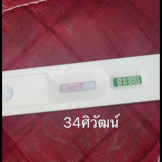 Atk V2 Object Detection Dataset and Pre-Trained Model by Ploy