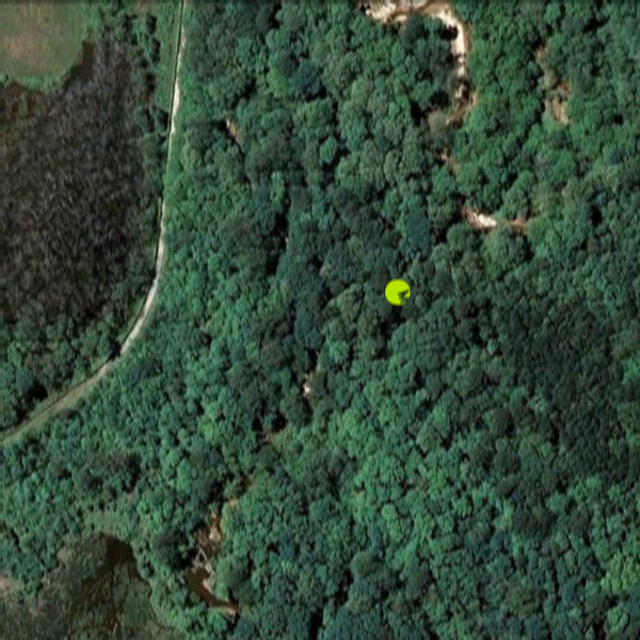 Suas Final Object Detection Dataset By Dinhai