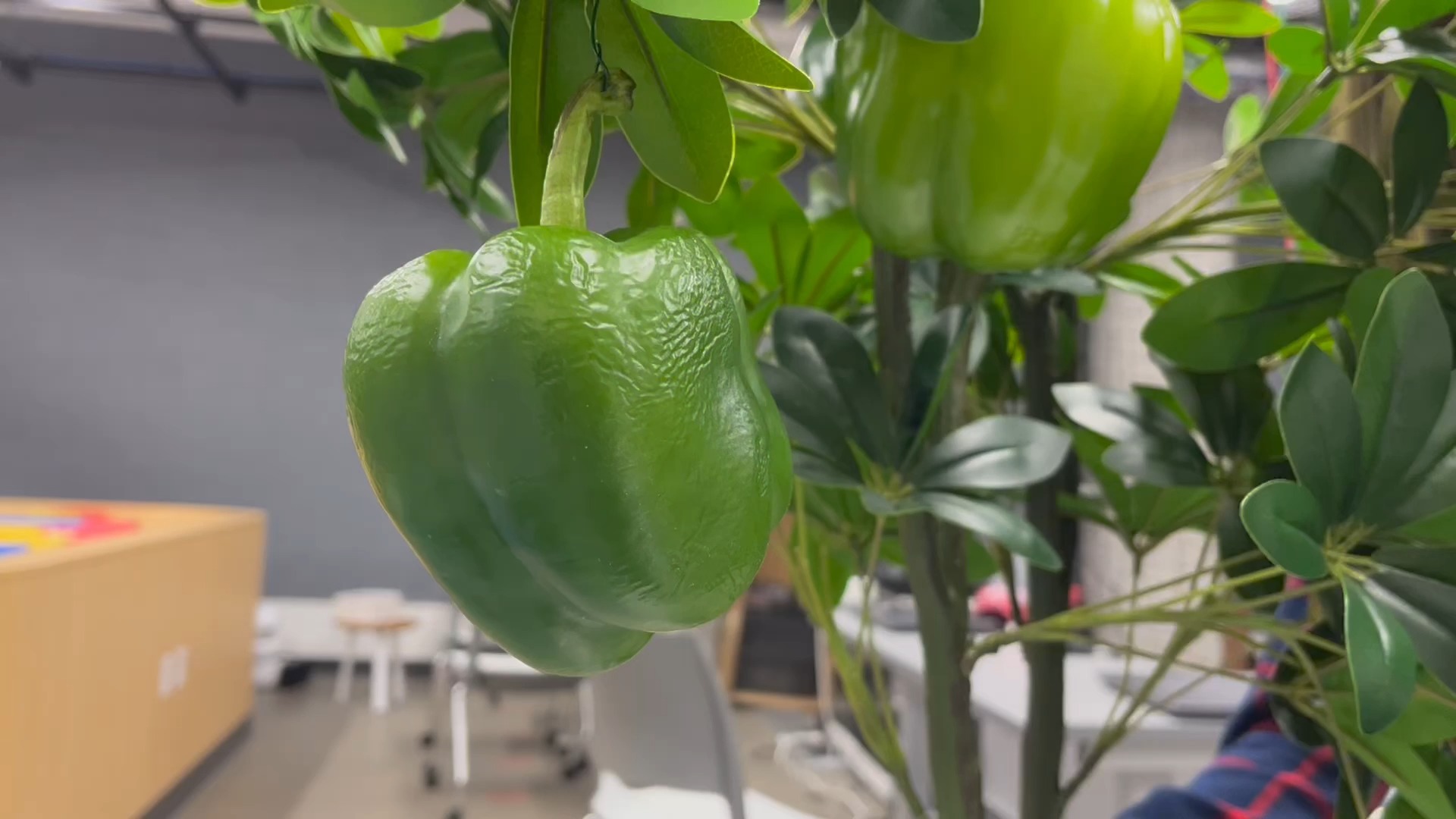 Detect Green Bell Pepper Object Detection Dataset And Pre Trained Model