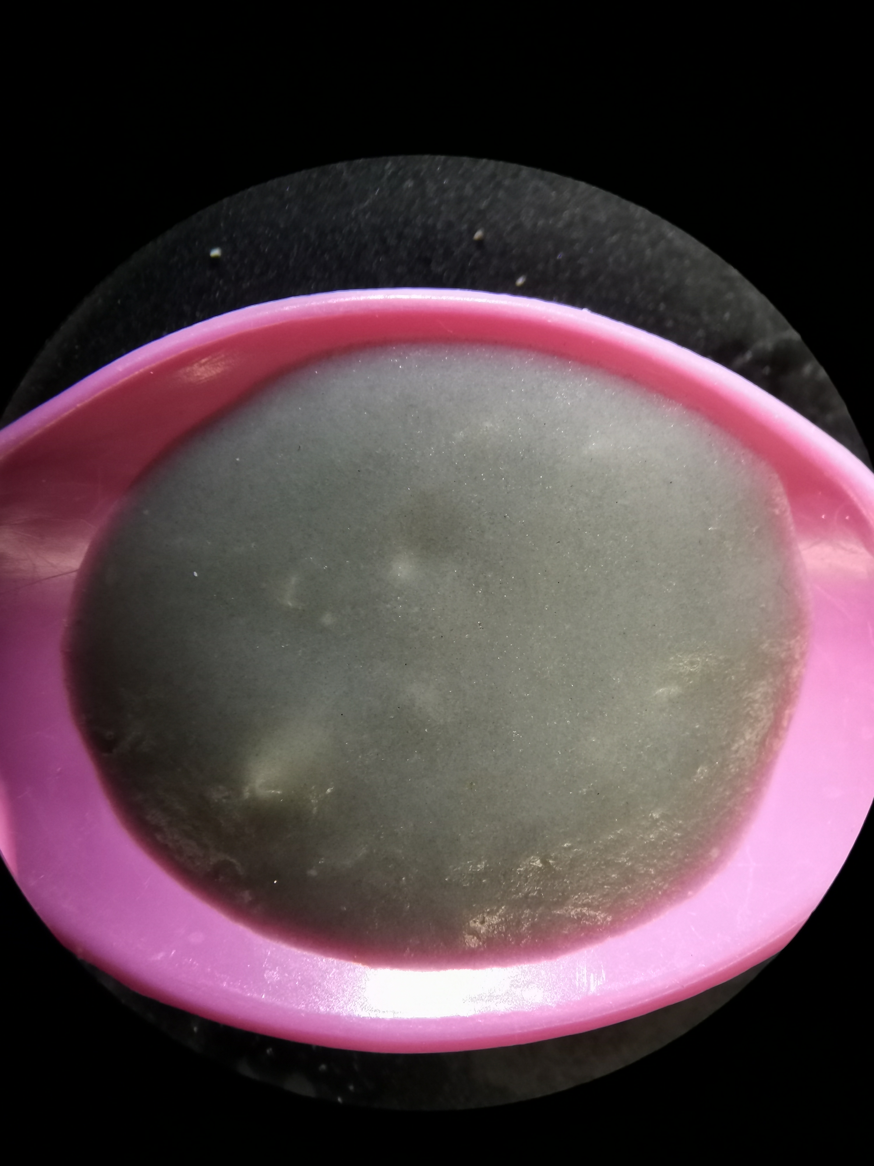 pink-drosos Object Detection Dataset by new-workspace-oypxd