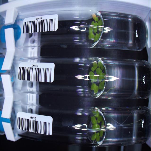 Alpha Segmentation Trainingset Instance Segmentation Dataset By Test