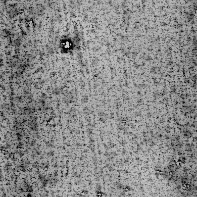 final1 Instance Segmentation Dataset by ashmi