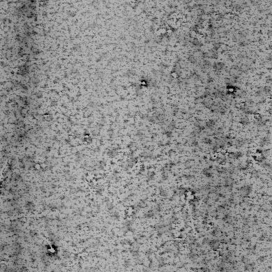 final2 Instance Segmentation Dataset by ashmi