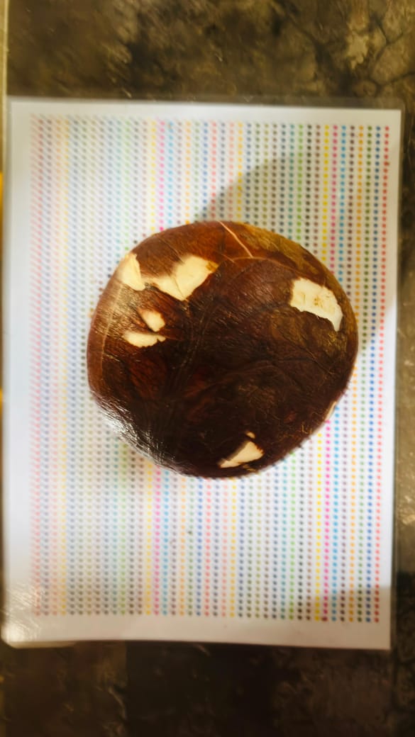 Final Year Capstone project - Roboflow Universe