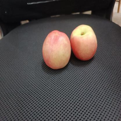 Fruits Object Detection Dataset by hans dampf