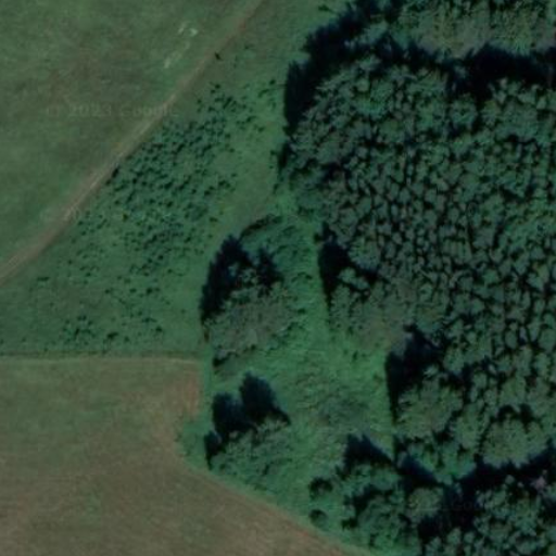 tree_2 Object Detection Dataset by trash