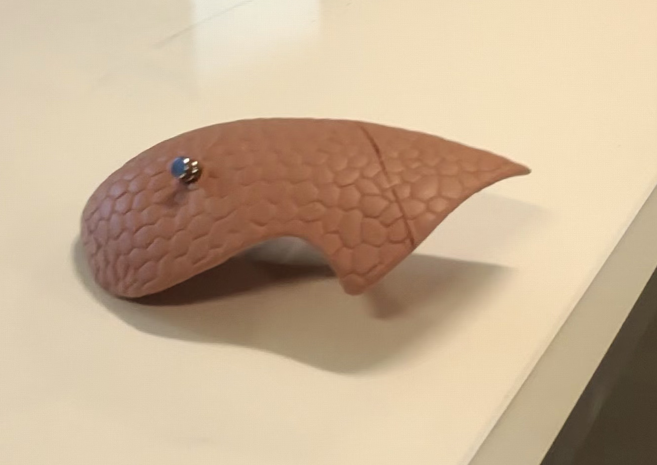 ITS Using AI & XR Instance Segmentation Model by Capstone