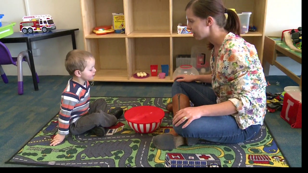 Autism Object Detection Dataset by project autism