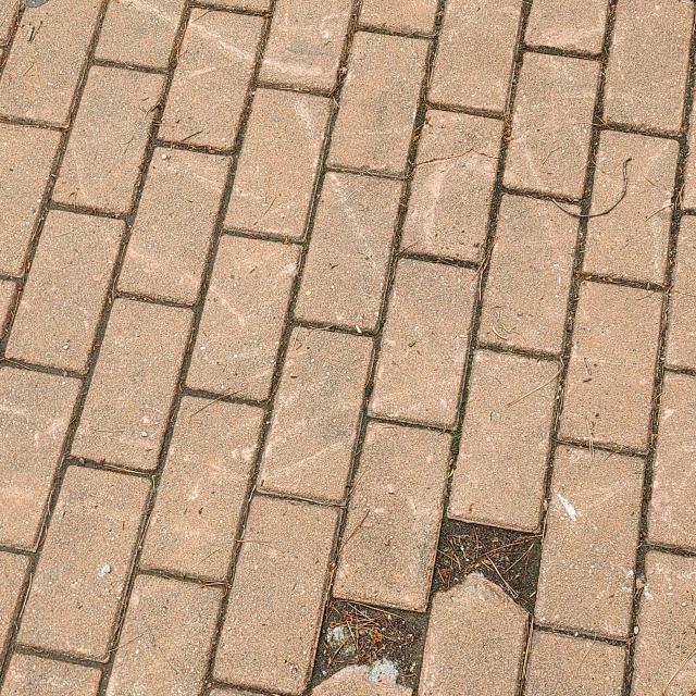 crack_yolo_segmentation Instance Segmentation Dataset and Pre-Trained Model by instance segmentation