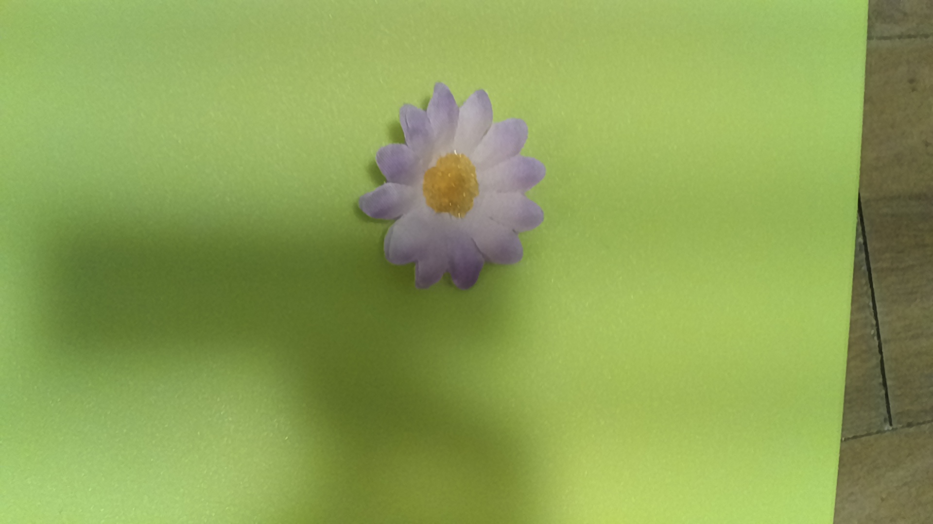 Flower Detection Object Detection Dataset and Pre-Trained Model by Columbia University